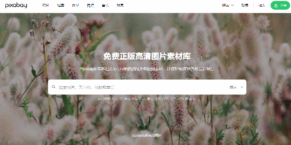 如何使用pixabay？pixabay官网入口及使用教程 - 其他教程 - SurfaceX