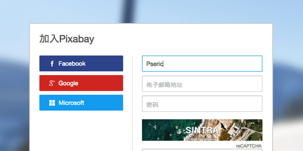 如何使用pixabay？pixabay官网入口及使用教程 - 其他教程 - SurfaceX